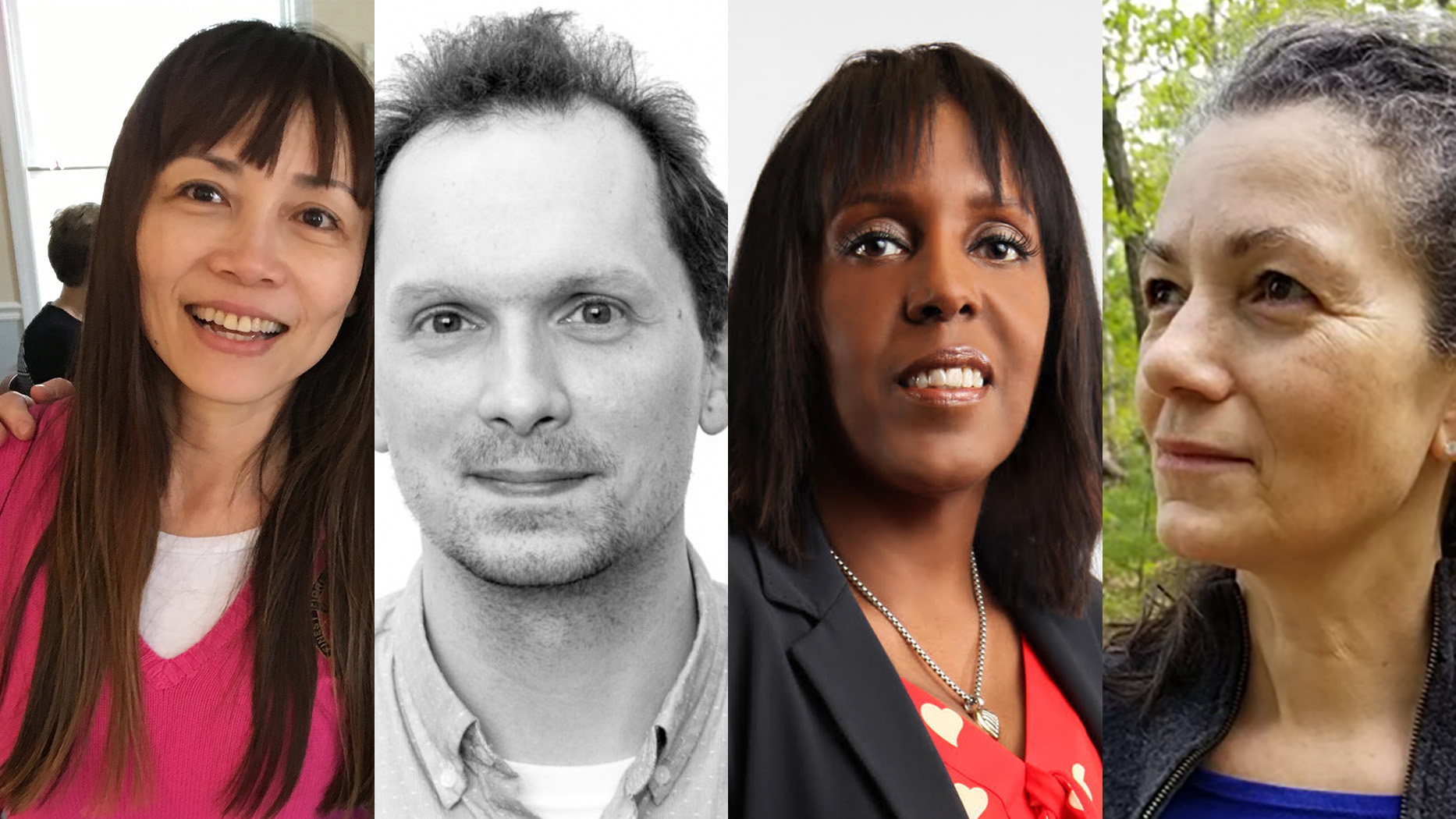 The Planning Board candidates - The Lexington Observer