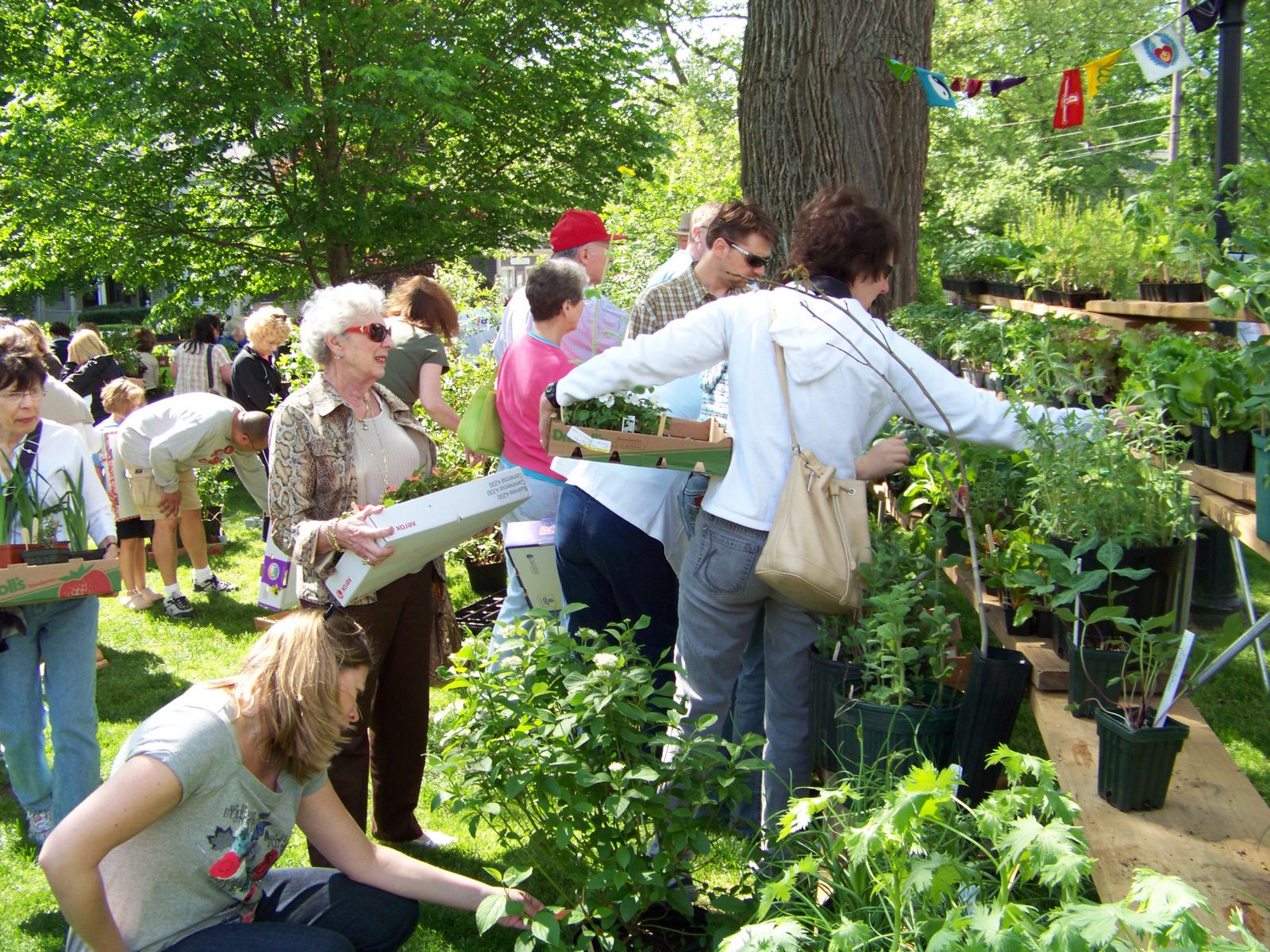 Plant & Craft Fair - First Parish in Bedford - The Lexington Observer