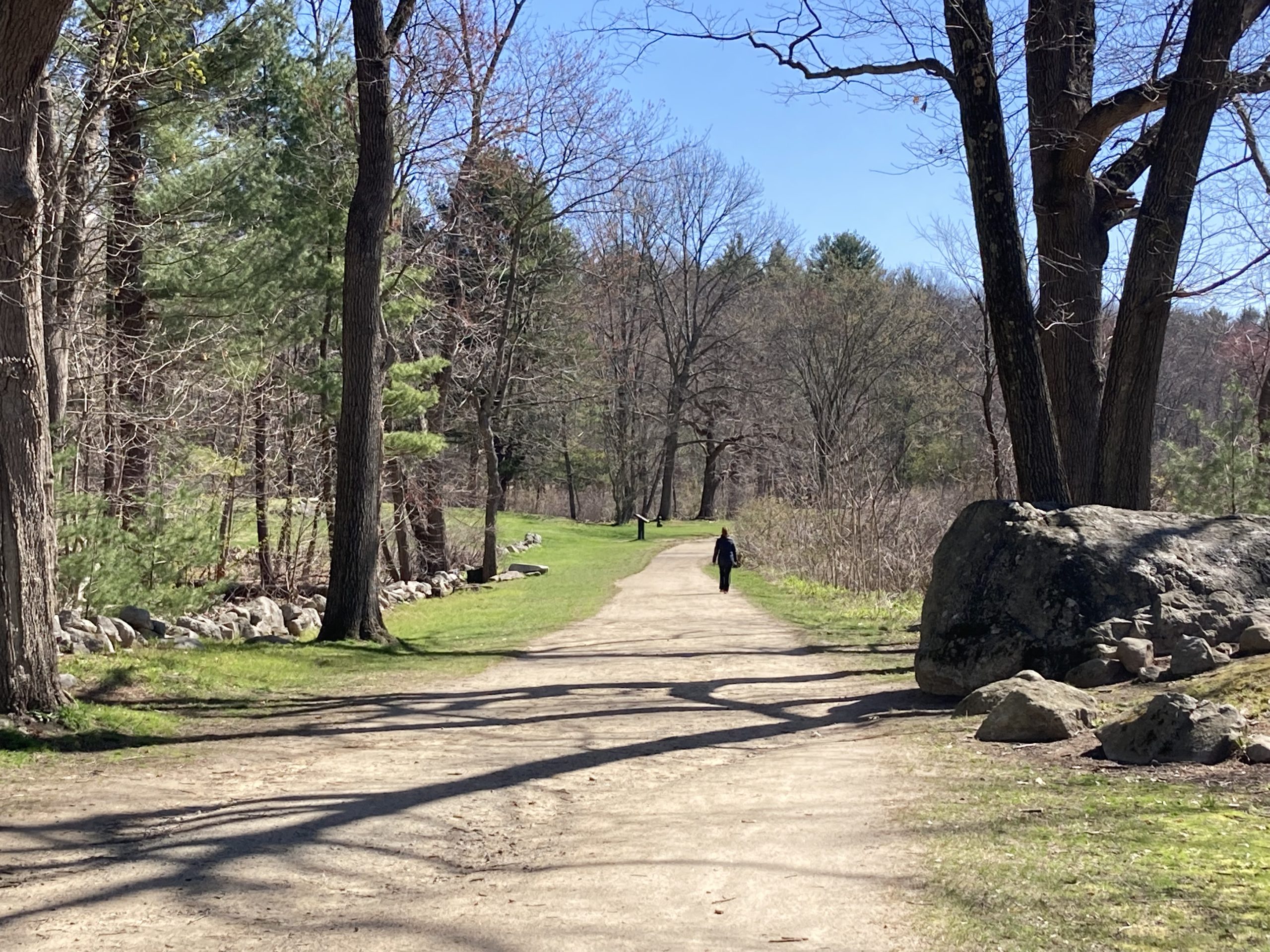 Battle Road Trail Hike - The Lexington Observer