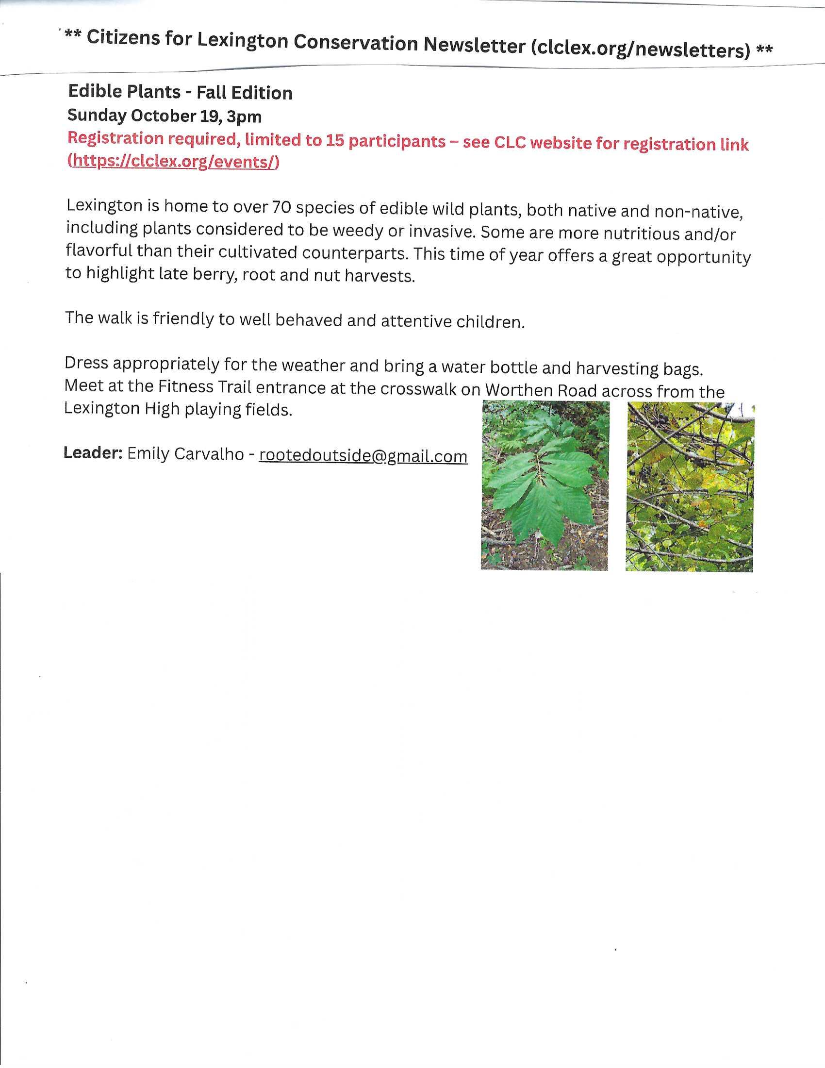 Community Announcement: Edible Plants - Fall Edition - The Lexington ...